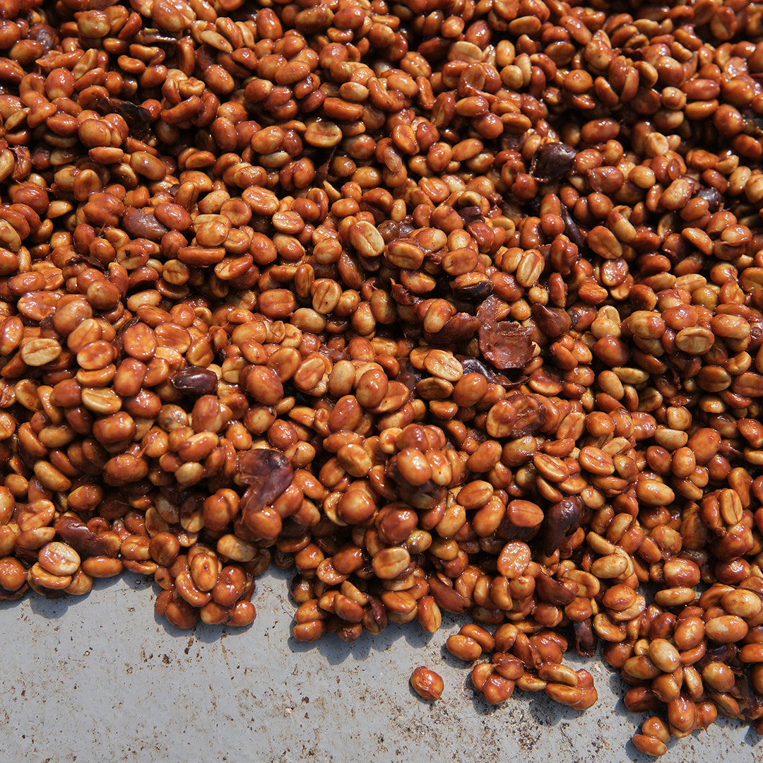 Sam James Coffee Bar